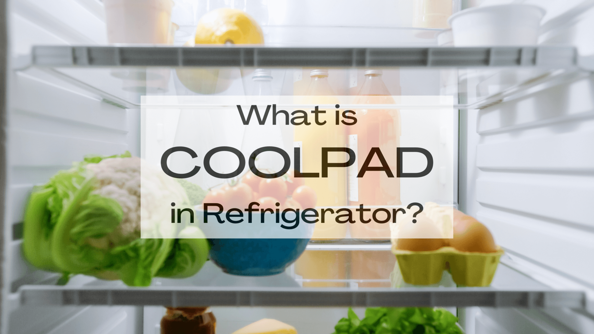 What is Coolpad in Refrigerator? A Comprehensive Guide - GreatLiving.in